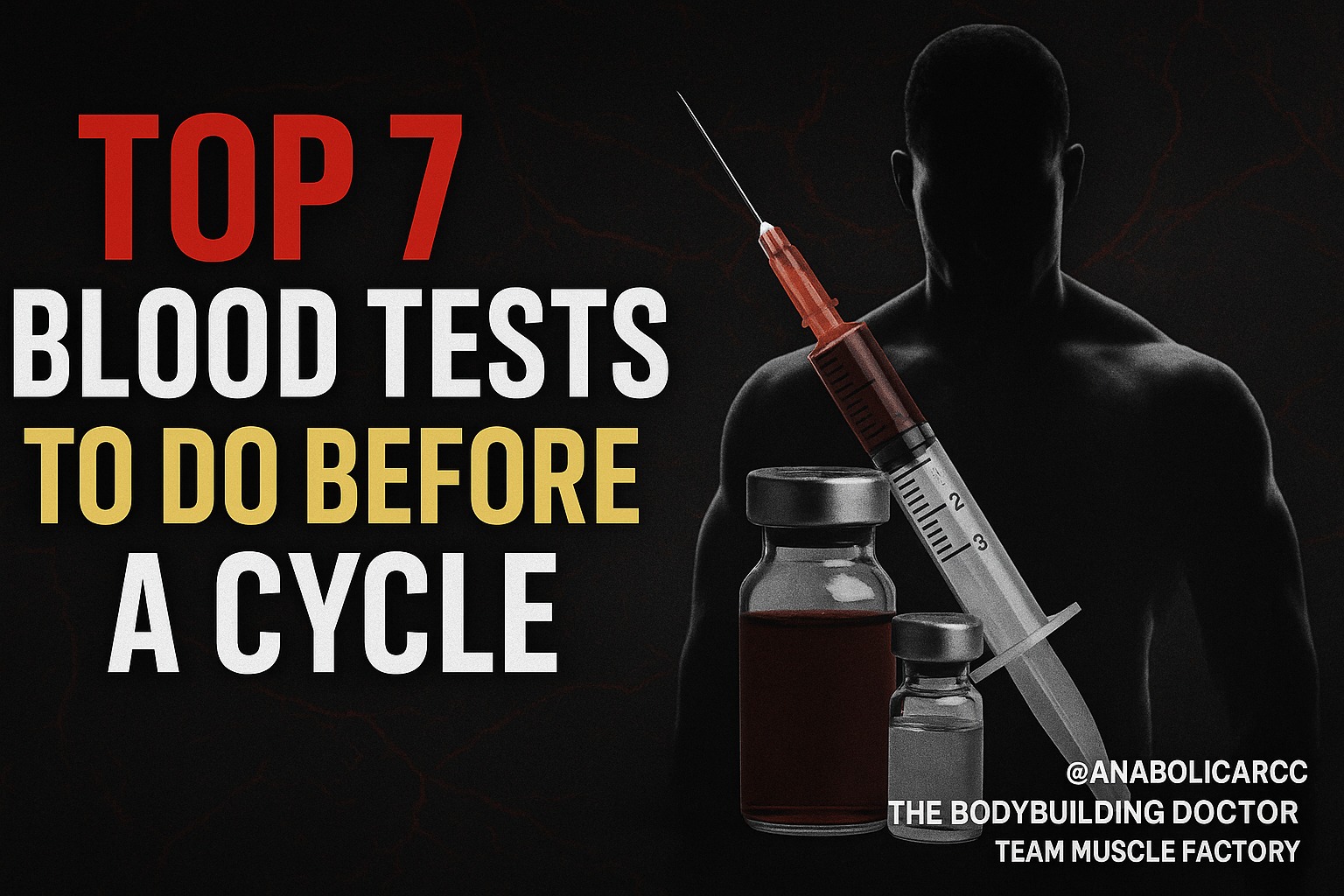 🧪 Top 7 Blood Tests to Do Before Starting a Steroid Cycle - The Body ...
